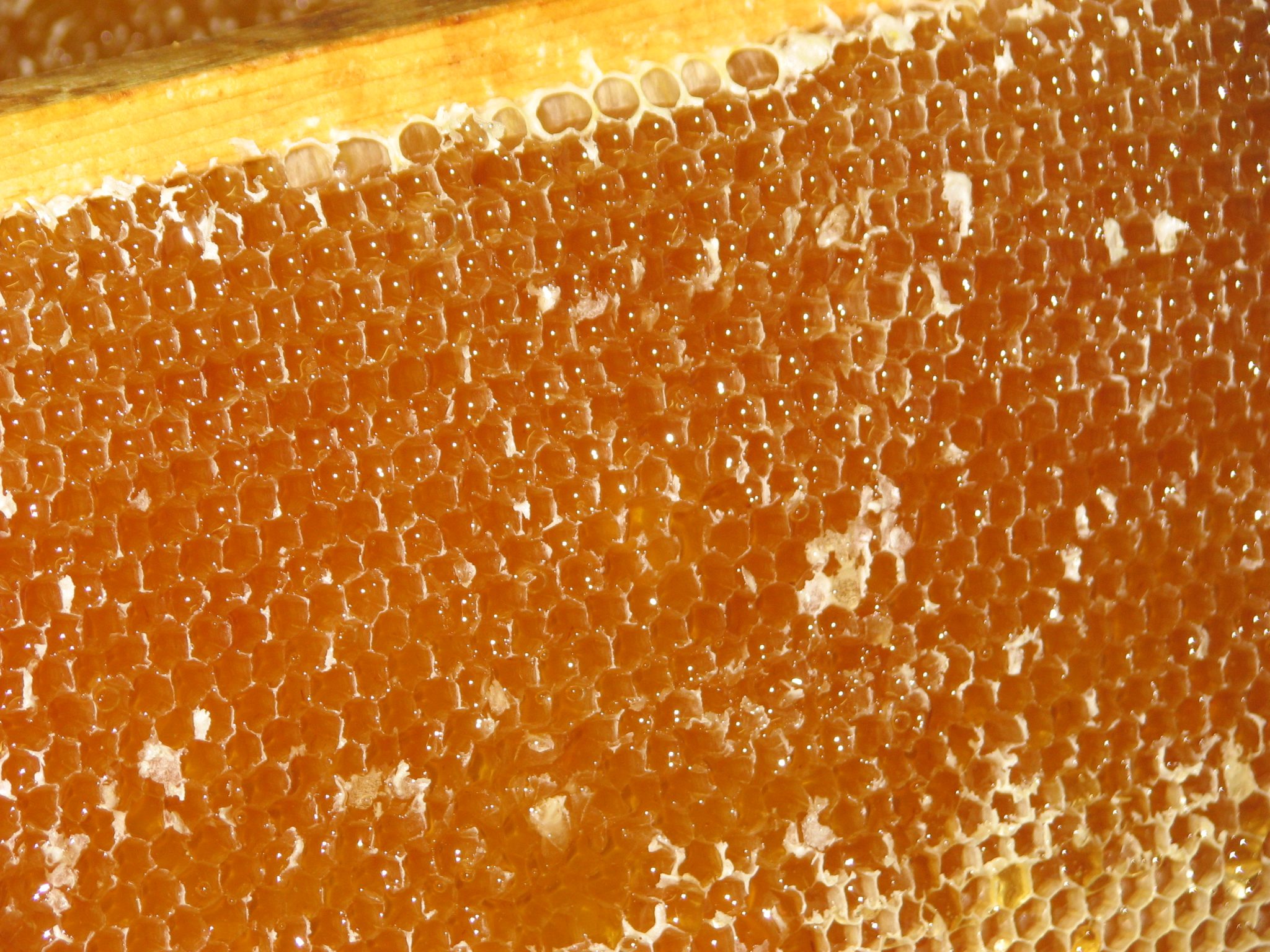 Meine Honige - Imkerei Danninger Altrip